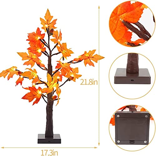 LOKIPA Lighted Fall Maple Tree, 24 LED Battery Operated Lighted ...